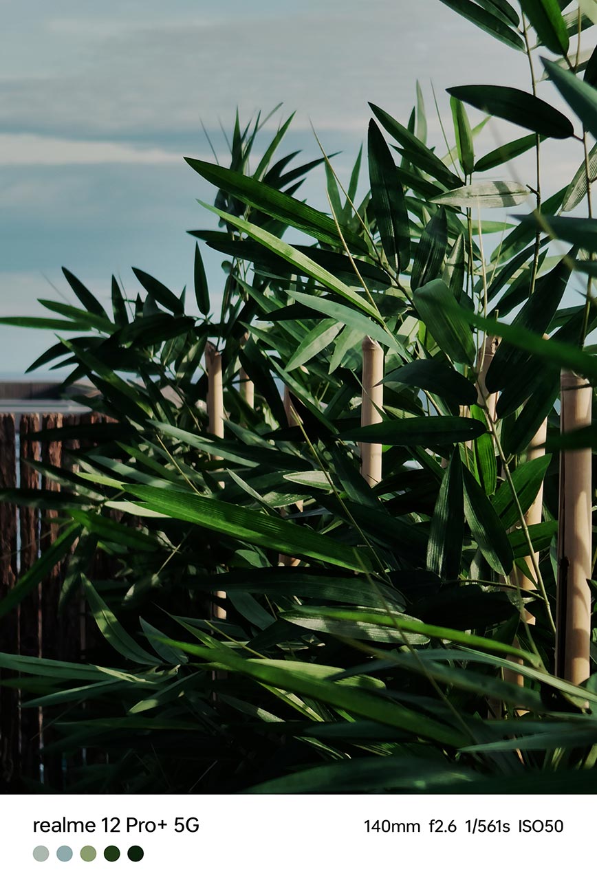 realme 12 Pro Plus 5G review: This phone's got the looks and the camera ...